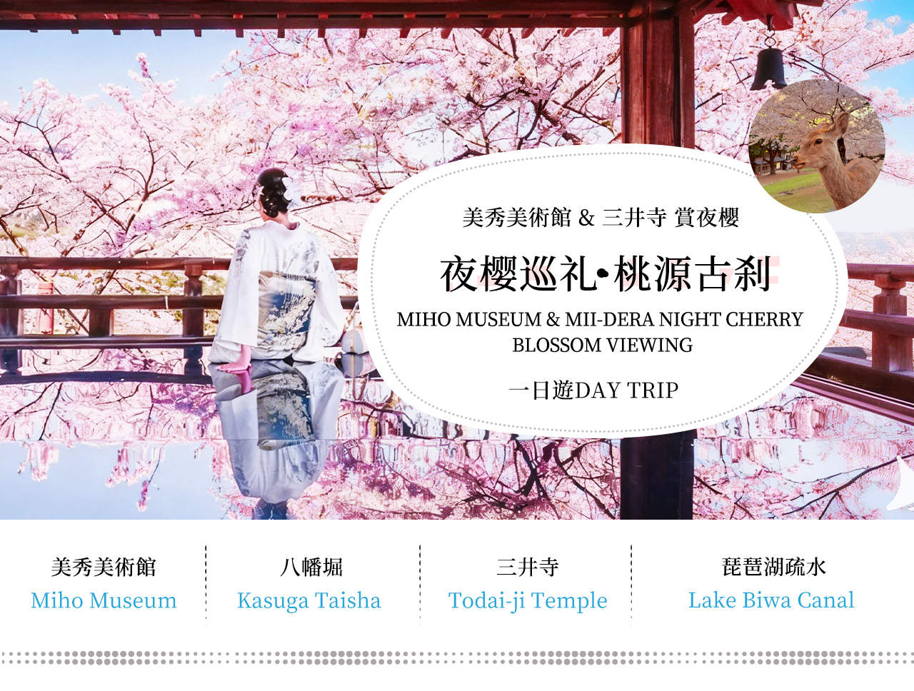 [Sakura Season Limited] Miho Museum × Mii-dera Temple Night Cherry ...